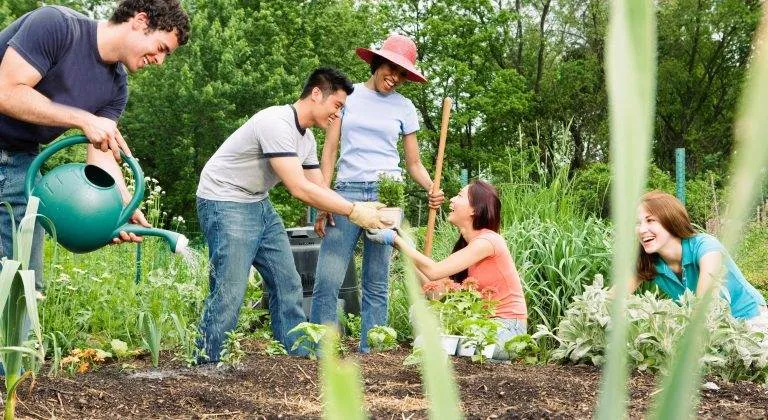 Neighborhood Harmony: 12 Qualities of a Good Community